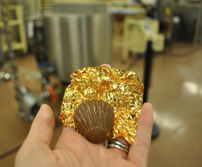 Tasty Tours in St. Augustine | Visit St Augustine