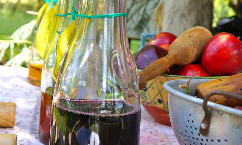 First Coast Slow Foods Tour de Farm 2017 | Visit St. Augustine