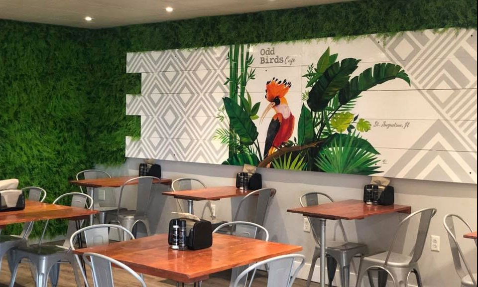 Odd Birds Café | Visit St Augustine