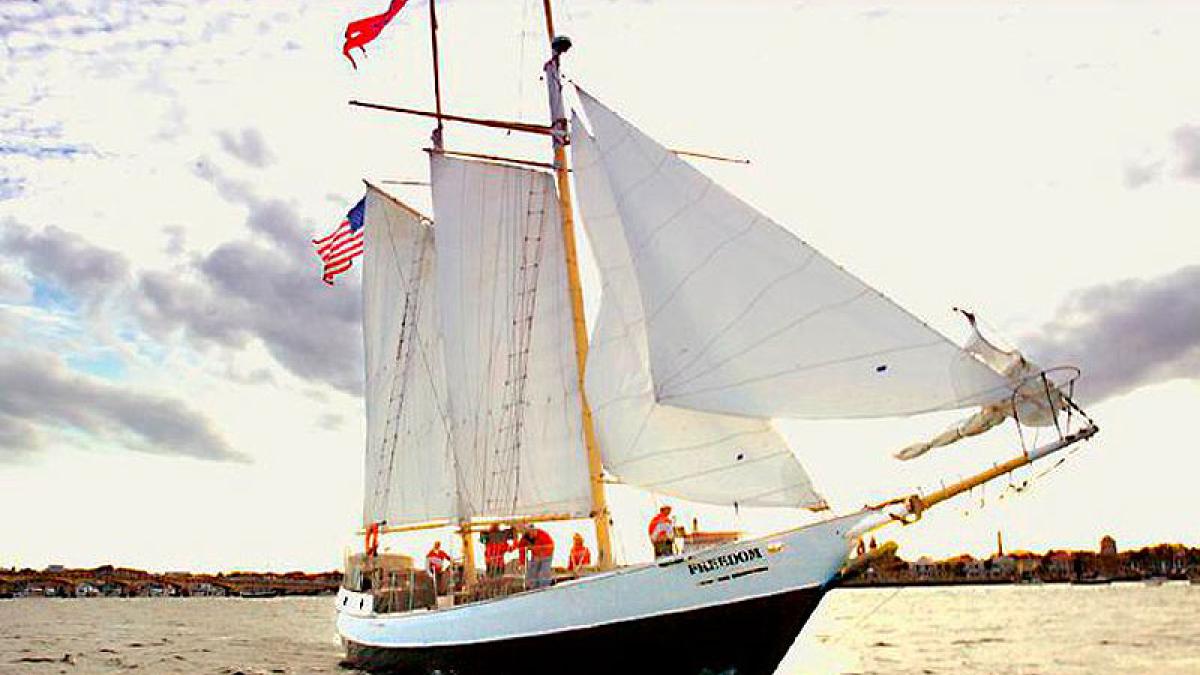Fins and Freedom Sail | Visit St. Augustine