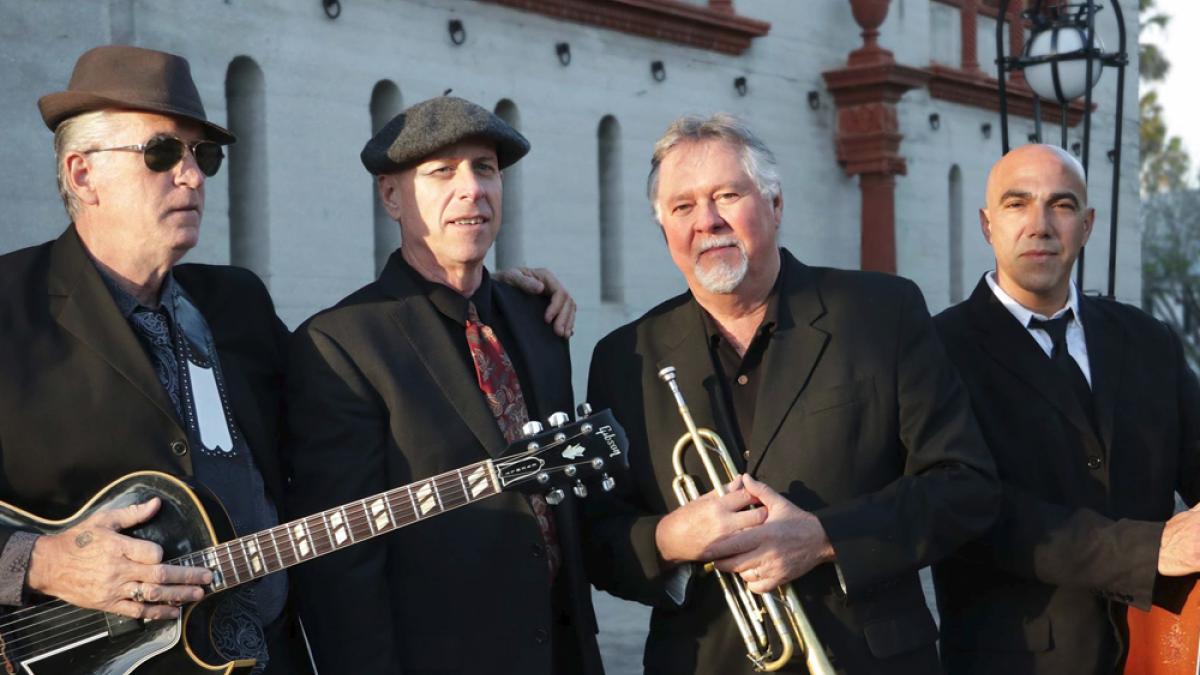 House Cats | Visit St. Augustine