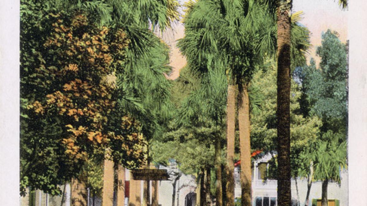 Palm Row, St. Augustine | Visit St. Augustine