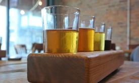 Bog Brewing Company | Visit St. Augustine