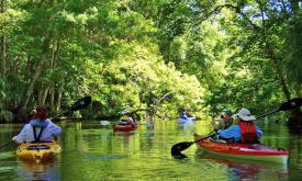 Kayaking St. Augustine | Visit St. Augustine
