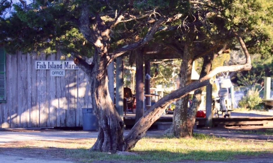 Fish Island Marina | Visit St Augustine