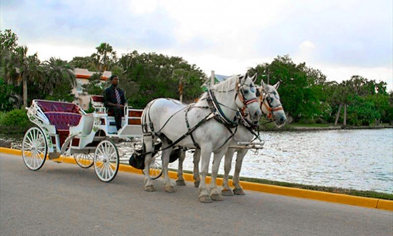 Country Carriages | Visit St Augustine