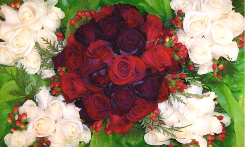 Flower Works | Visit St Augustine