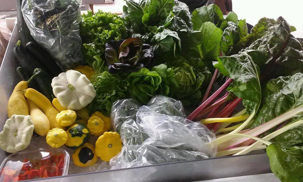 Rype and Readi Farm Market | Visit St Augustine Rype and Readi Farm Market | Visit St Augustine